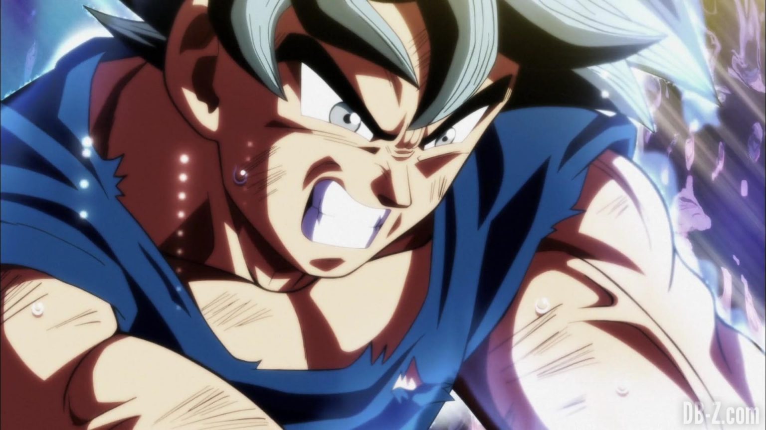 Afinal, Goku vai algum dia tornar-se um Sumo Sacerdote em Dragon Ball ...