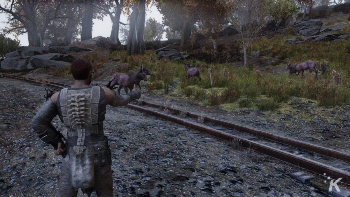 Fallout 76 - Review - Critical Hits