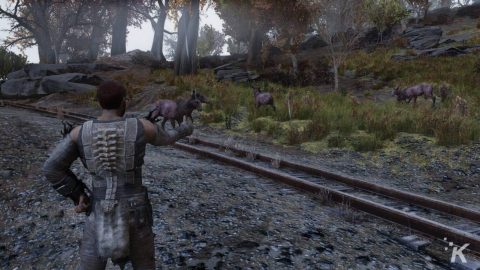 Fallout 76 - Review - Critical Hits