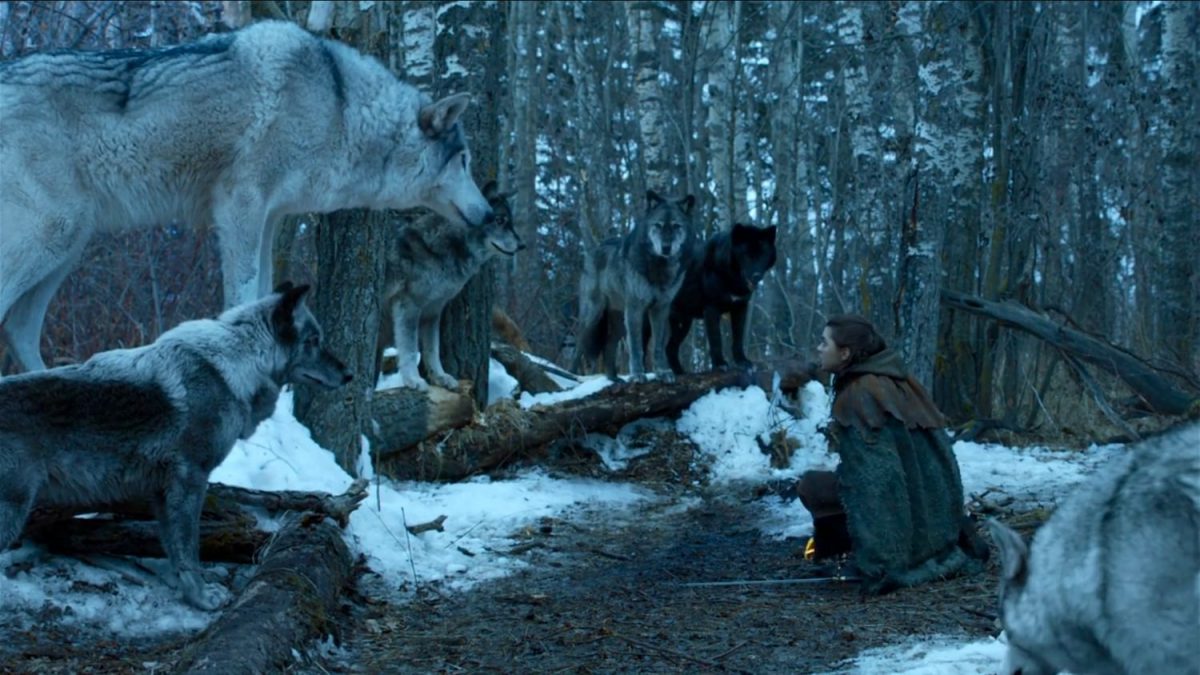 Este é o significado por trás do destino de cada um dos Lobos Gigantes ...
