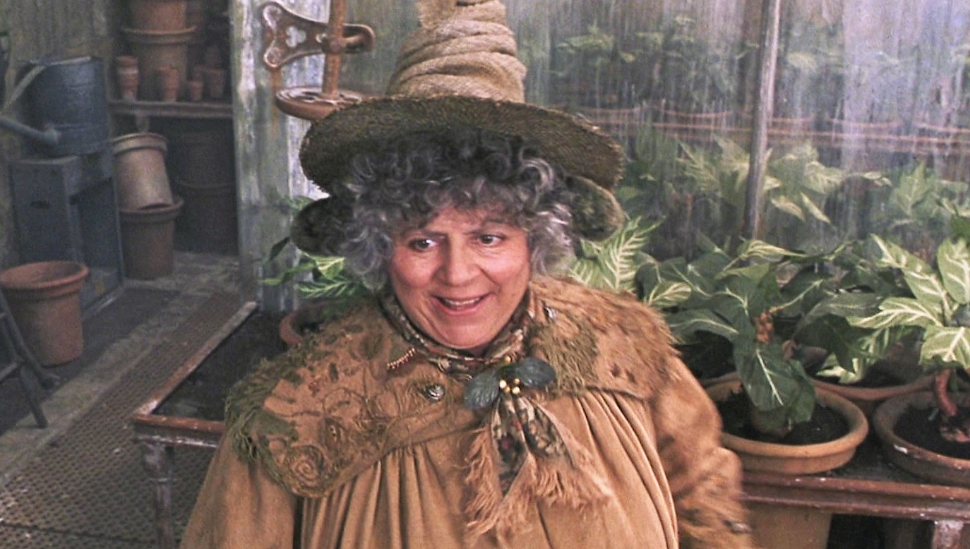Harry Potter - 5 personagens da Lufa-Lufa que mais amamos - Critical Hits