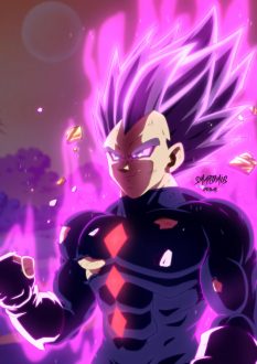 Fã de Dragon Ball Super imagina Vegeta como um Deus da Destruição em ...