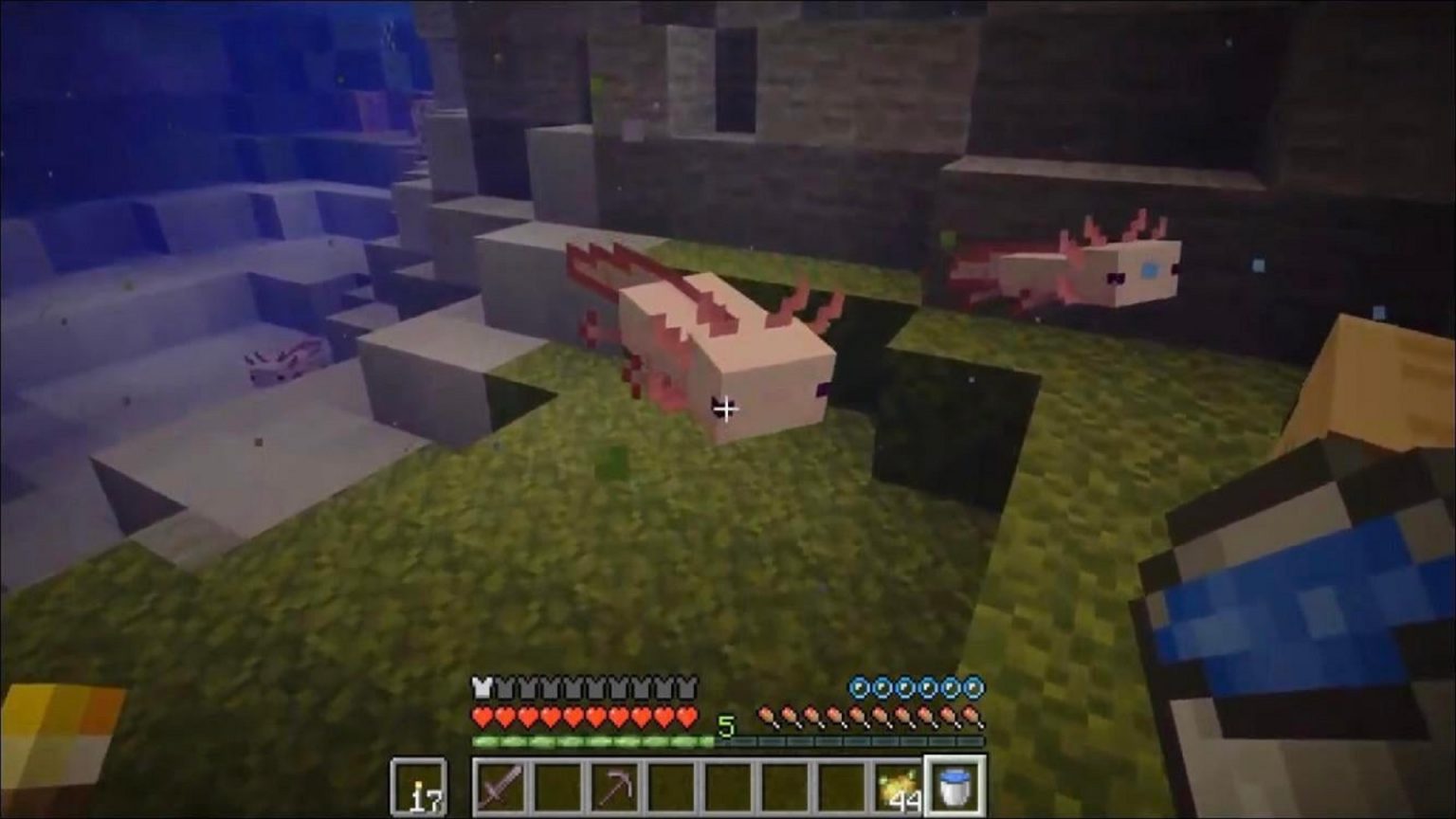 Minecraft - Onde encontrar os Axolotes - Critical Hits