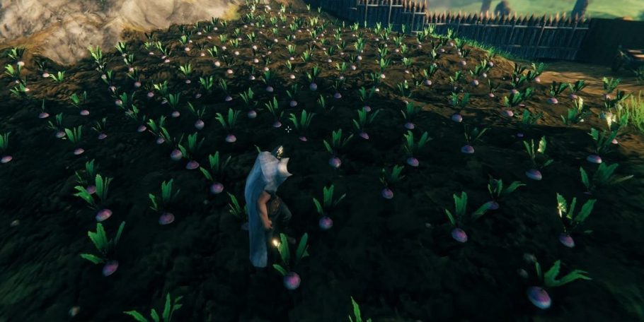 Valheim - Todas as sementes que você pode plantar e cultivar