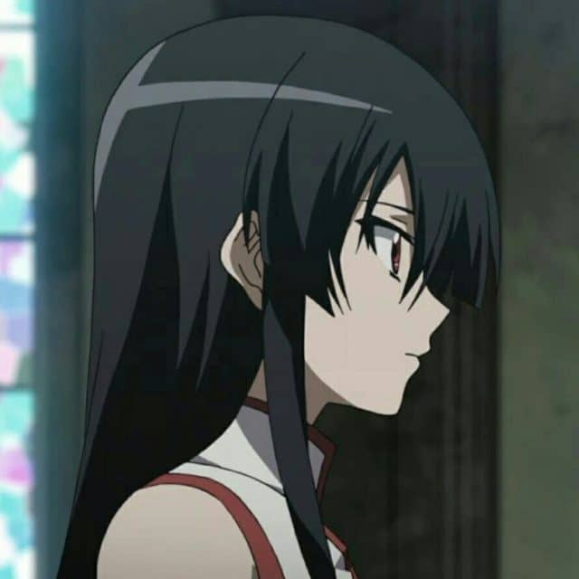 Akame - Conheça a história e os poderes da protagonista de Akame Ga ...