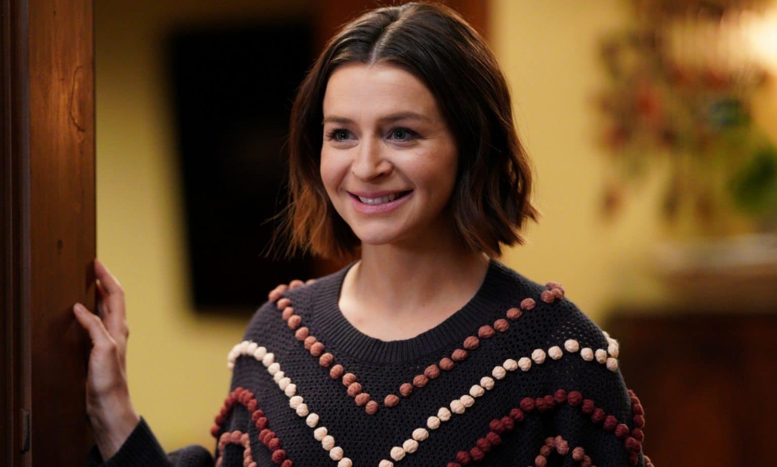 4 detalhes da vida de Amelia Shepherd de Grey's Anatomy que você não ...