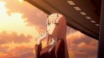 Zero Two - Conheça a história e habilidades da personagem de Darling in ...