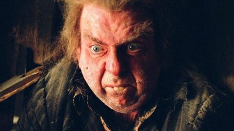 Quiz - Duvidamos que você saiba tudo sobre o personagem Pedro Pettigrew de Harry Potter ...