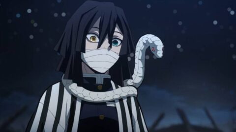 Entenda por que Obanai tem uma cobra no seu pescoço em Demon Slayer ...