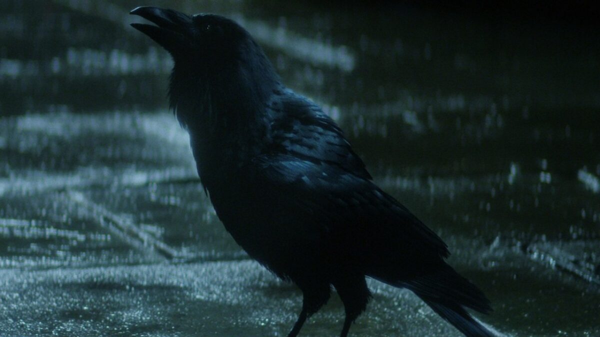 Conheça a história dos principais personagens de Sandman