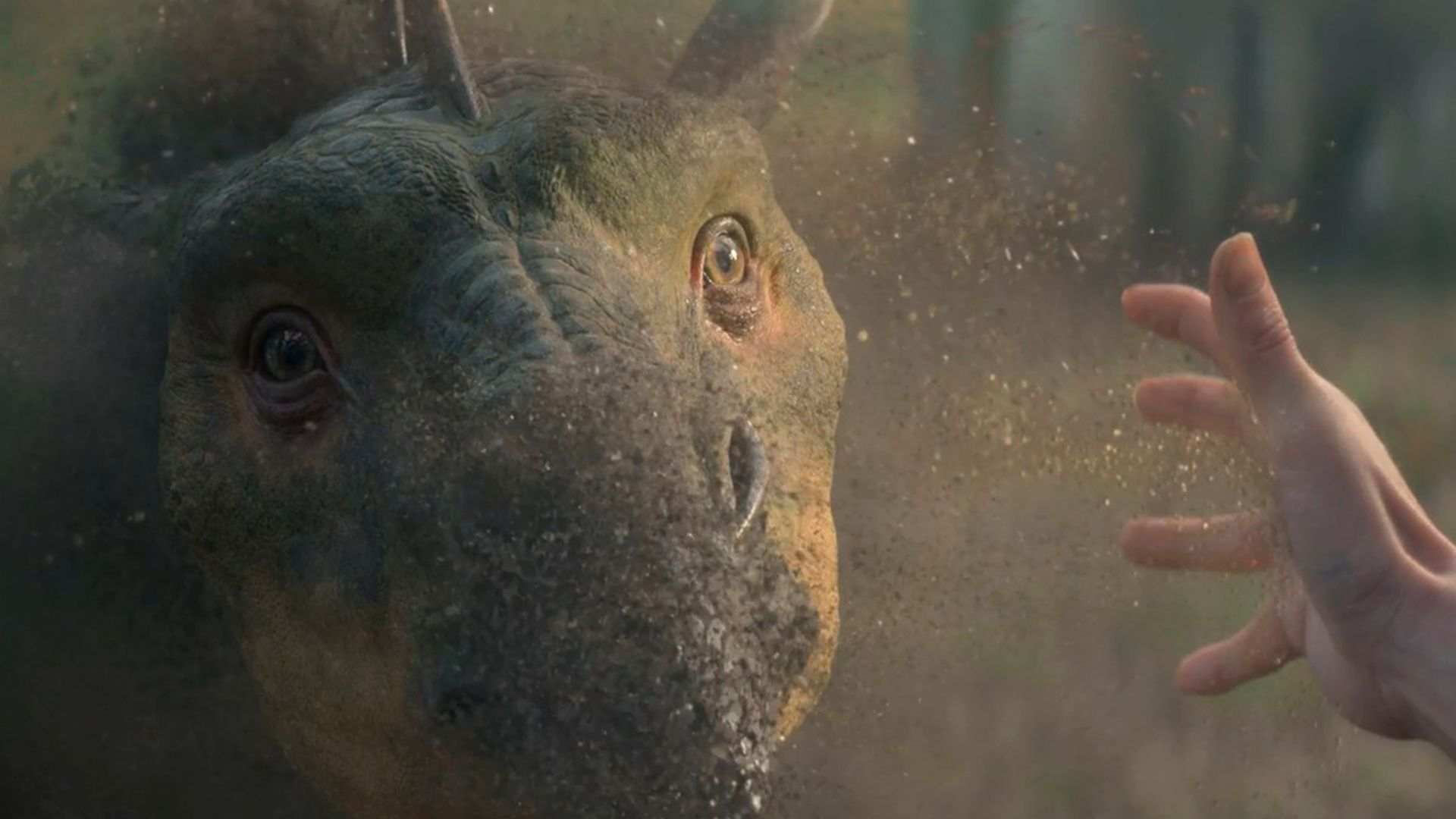 Confira as diferenças entre as HQs de Sandman e a série da Netflix ...