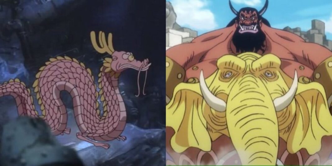One Piece: Um Guia Completo sobre os Usuários de Akuma no Mi ...