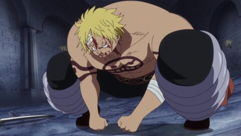 One Piece - Tudo sobre a Bane Bane no Mi, a Fruta da Mola - Critical Hits