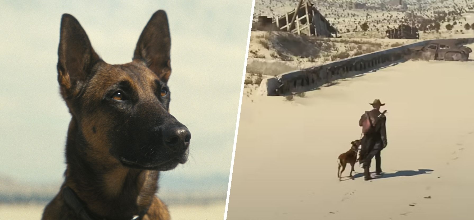 Como Conseguir o Dogmeat (CX404) em Fallout Shelter - Critical Hits