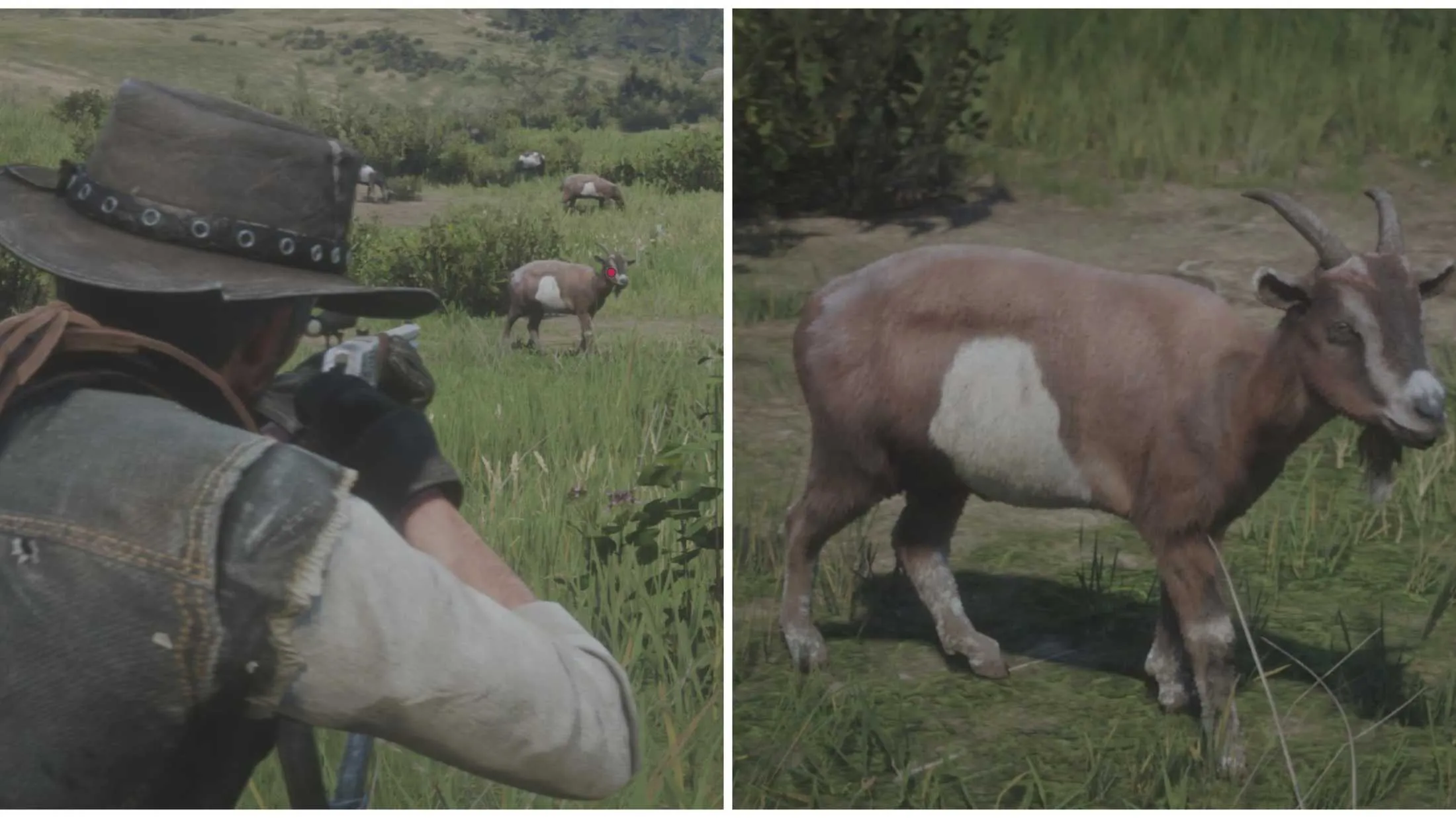 Onde encontrar cabras em Red Dead Redemption 2 - Critical Hits