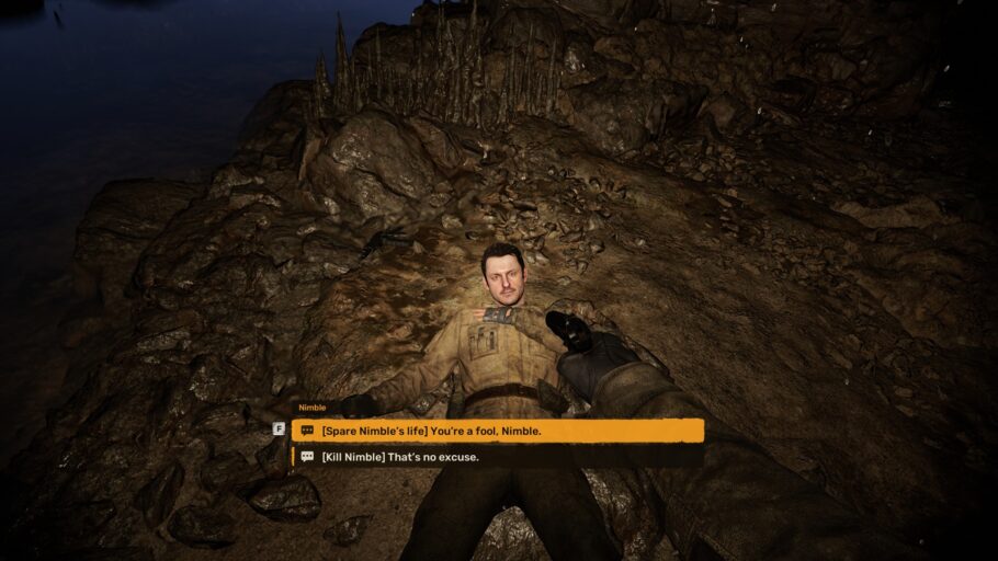 STALKER 2 - Poupar ou Salvar Nimble (Ágil)? - Critical Hits