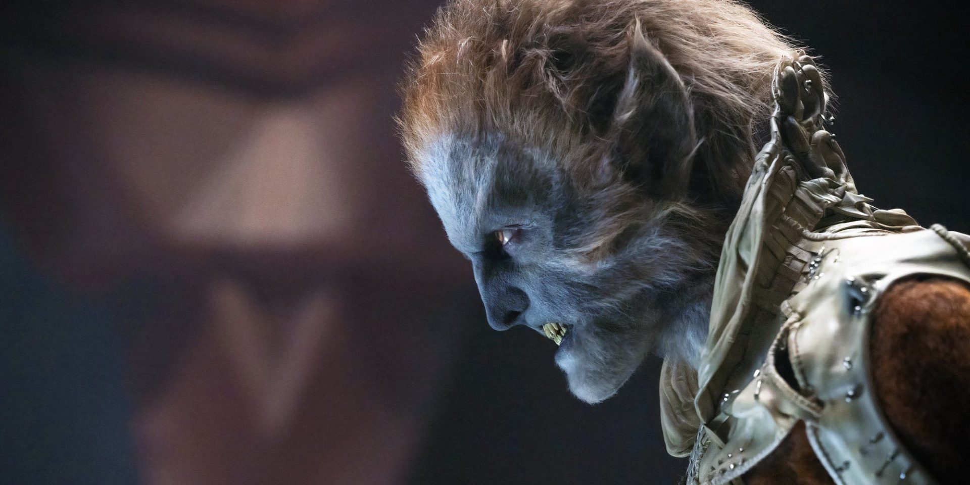 Tudo que você precisa saber sobre os Eelfinn de A Roda do Tempo ...