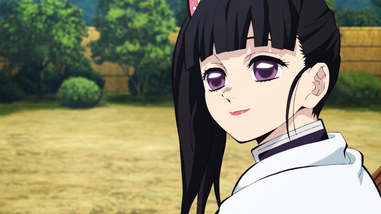Quantos anos tem Kanao Tsuyuri em Demon Slayer? - Critical Hits