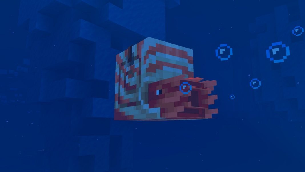 Minecraft: como encontrar, domar e montar o novo mob aquático Nautilus ...
